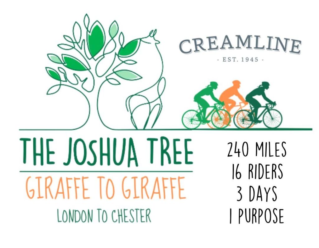 Events from 19/12/2023 – 15/01/2025 – The Joshua Tree